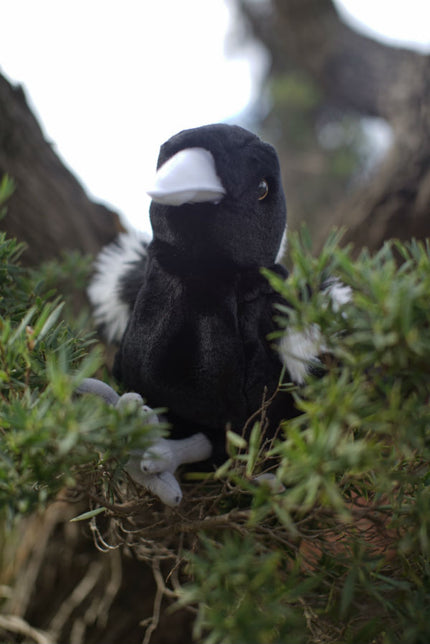 Australian Animal puppet – Creative Play Puppets