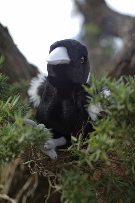 Australian Animal puppet – Creative Play Puppets