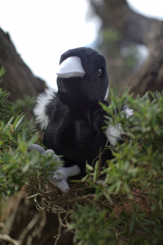 Australian Animal puppet – Creative Play Puppets