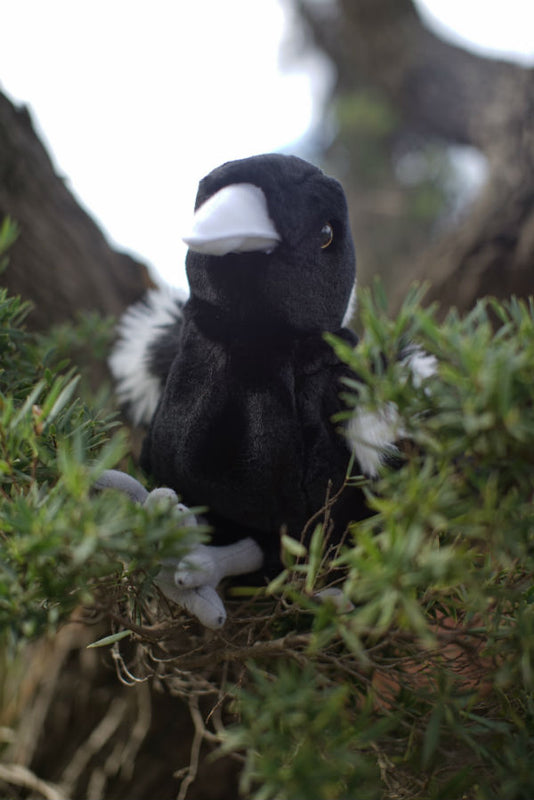 Australian Animal puppet – Creative Play Puppets